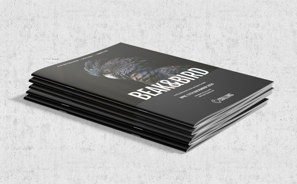 Premium Booklets Officeworks